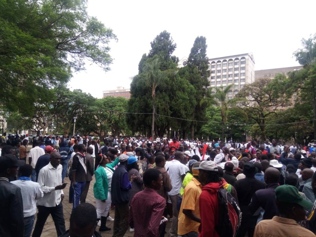 Zimbabweans stage protest over declining economy - Africa Feeds