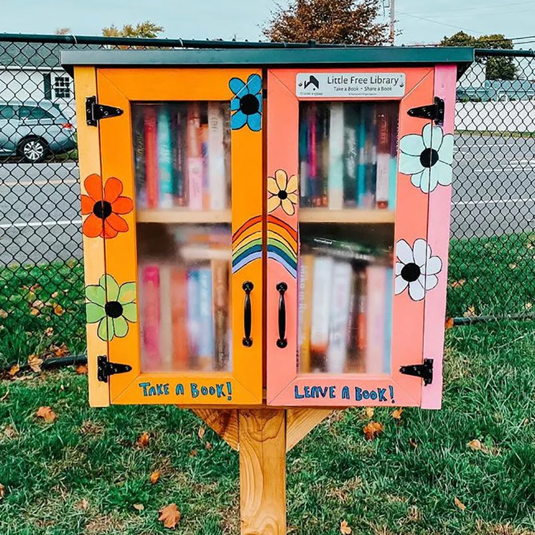 The Allure of Little Free Libraries - Africa Feeds